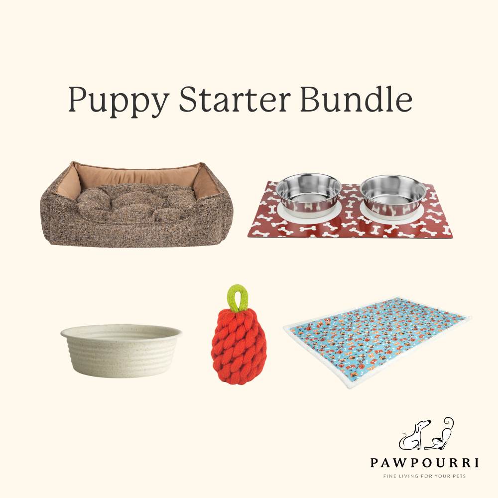 Puppy Starter Dog Bundle – Pawpourri
