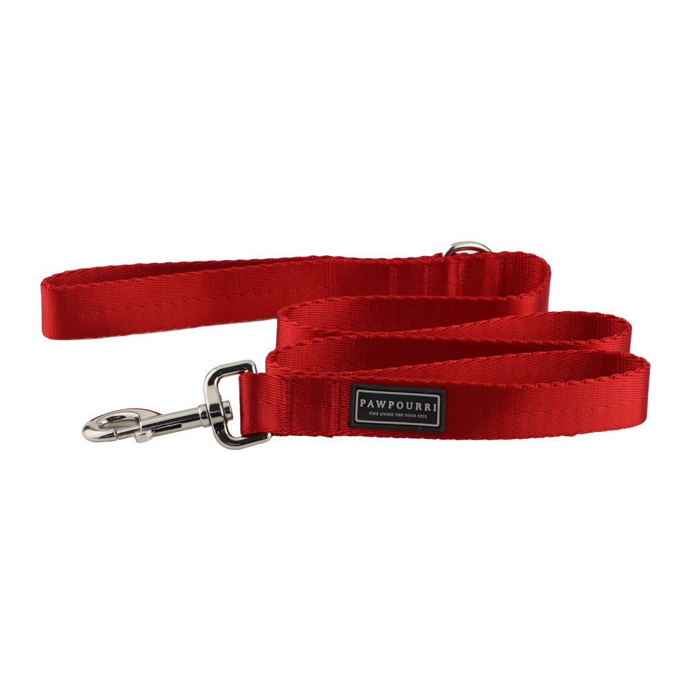 Red Leash for Dogs – Pawpourri